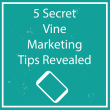 5 Secret Vine Marketing Tips Revealed